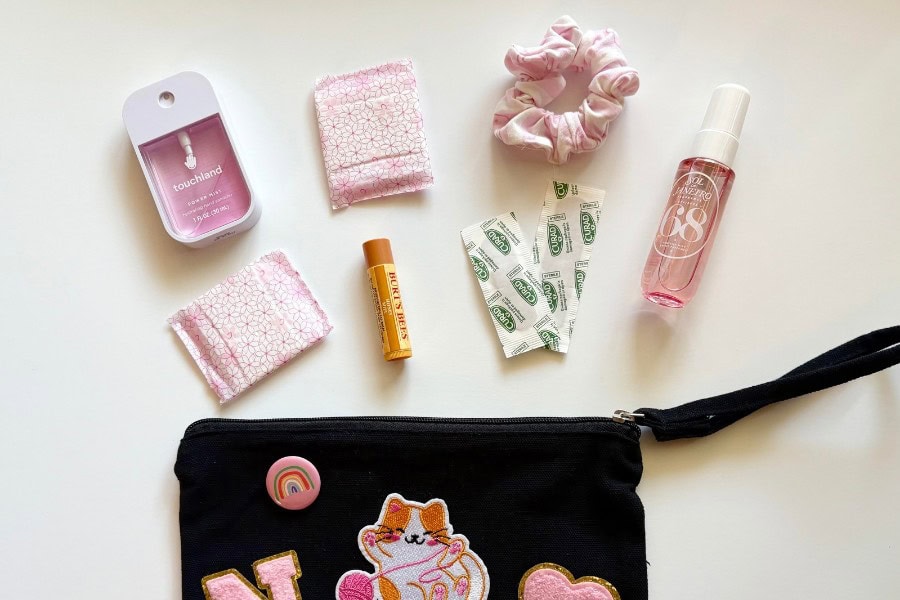 What To Put In A School Emergency Kit * Nicole Gwen